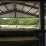 Photo Gallery of West Frio River Ranch | RV Resorts Leakey, TX